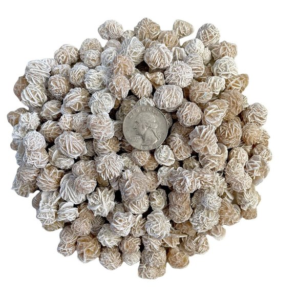 Tree Of Life Gems | Office | Lb Mini Desert Rose Sand Selenite Gypsum ...